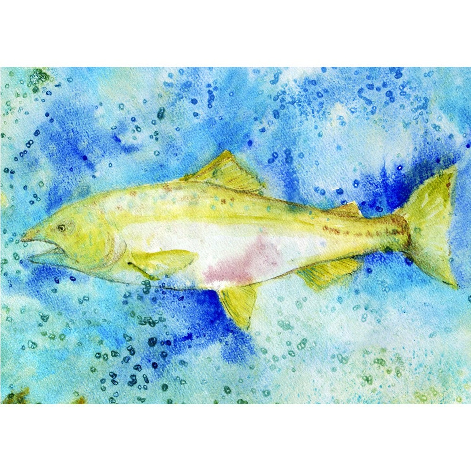 Salmon Painting, Fish Painting, Watercolor Fish, 8 X 10 Giclee Print ...