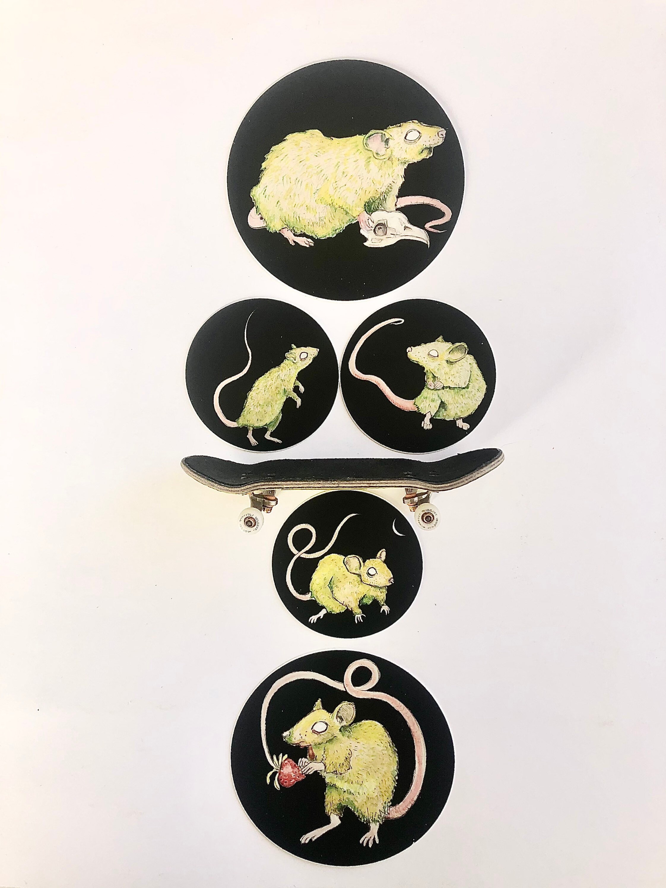 Rat Sticker with Skull, rodent, illiustration, creepy, spooopy, por ...