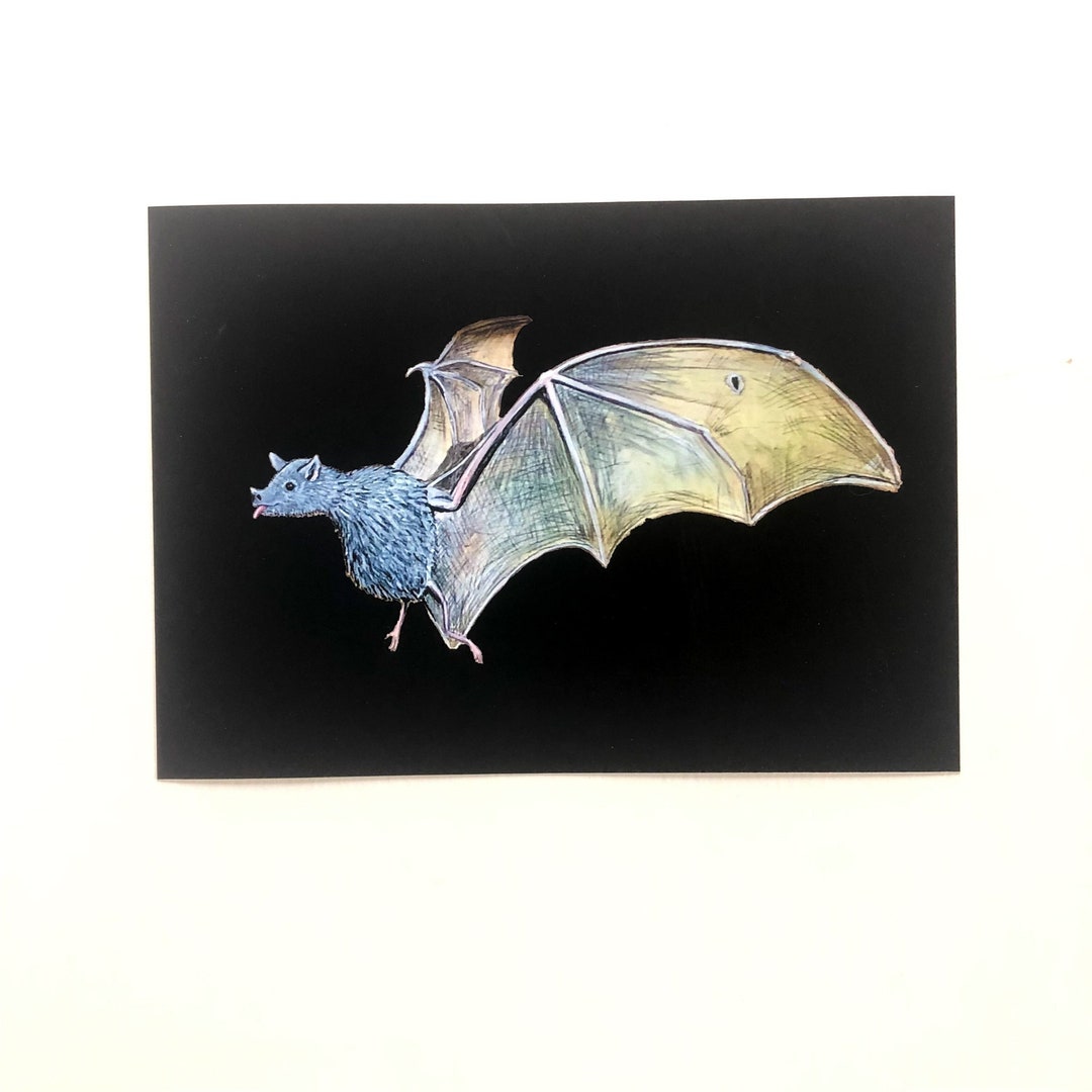 Bat Print 8x10" and 5x7" Black - Archival Matte, Giclee, Mammal ...