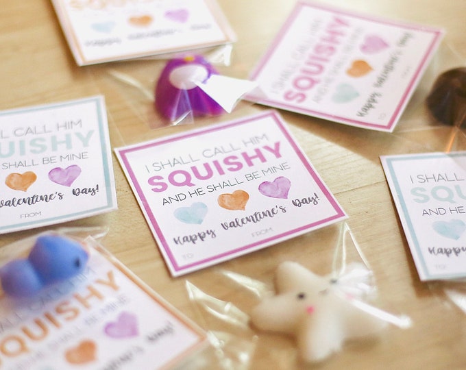 SQUISHY Valentine / Classroom Valentine / Kids Valentine Exchange ...