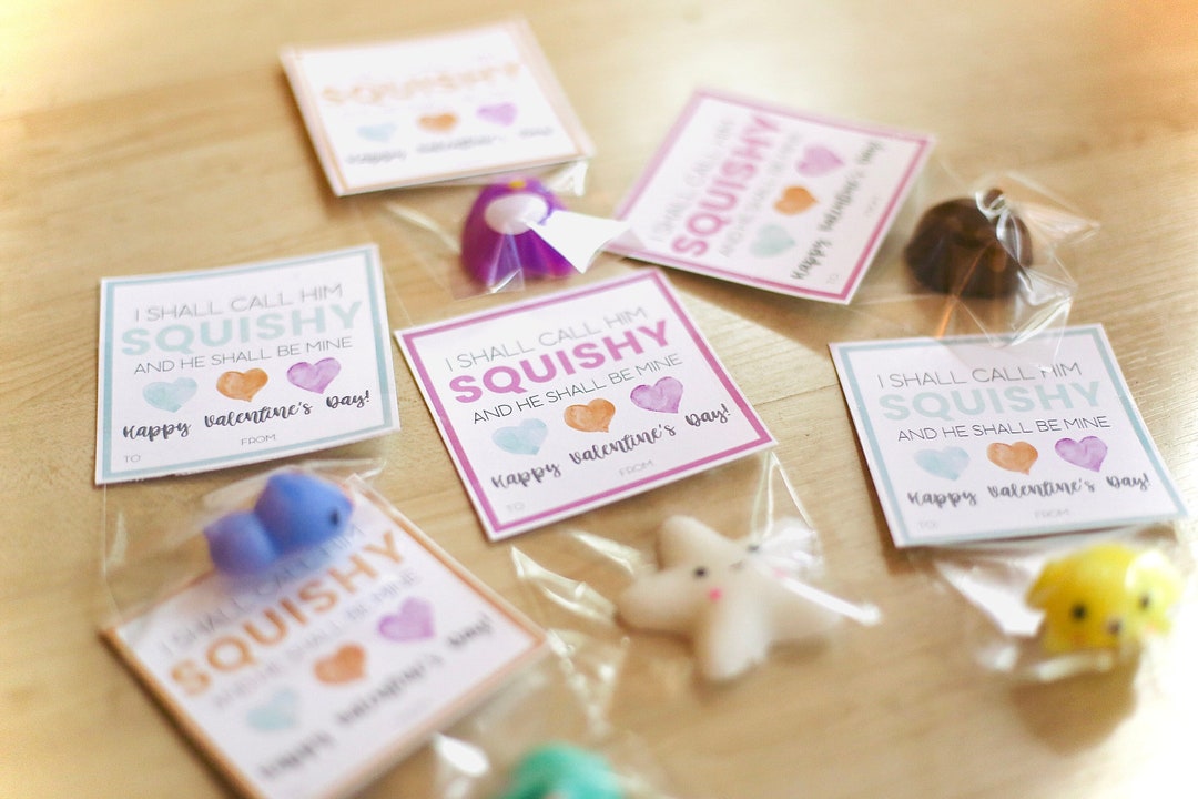 SQUISHY Valentine / Classroom Valentine / Kids Valentine Exchange ...