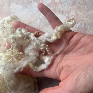 Heidifeathers Wensleydale Wool Locks - Natural White or Natural Black ...