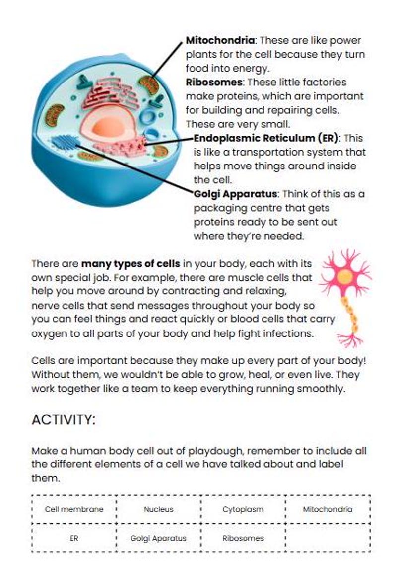 Human Body | Science Unit Study | 6-12 Years Old | Family Style ...