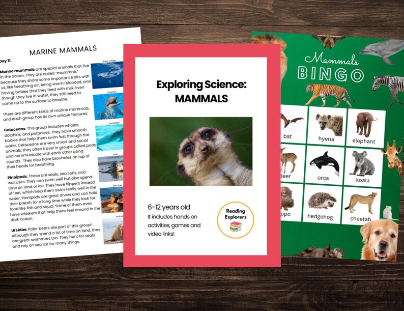 Mammals | Science Unit Study | 6-12 Years Old | Family Style Homeschool ...