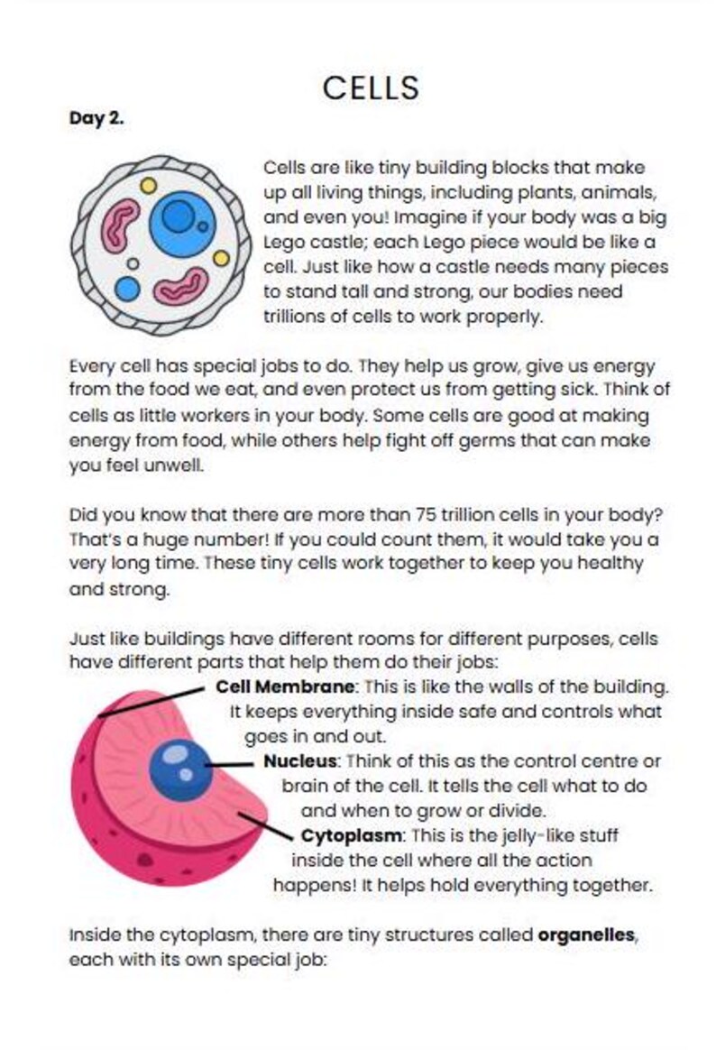 Human Body | Science Unit Study | 6-12 Years Old | Family Style ...
