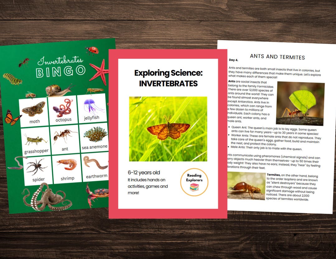Invertebrates | Science Unit Study | 6-12 Years Old | Reading Explorers ...