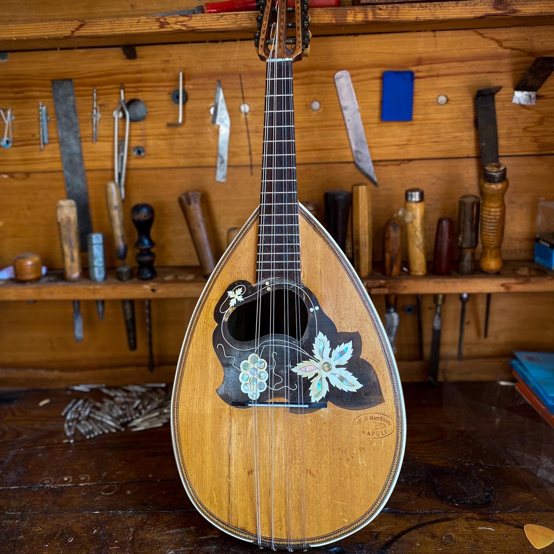 1960s Neapolitan Mandolin Restored Vintage Collectible Handmade I ...