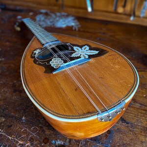 1960s Neapolitan Mandolin Restored Vintage Collectible Handmade I ...