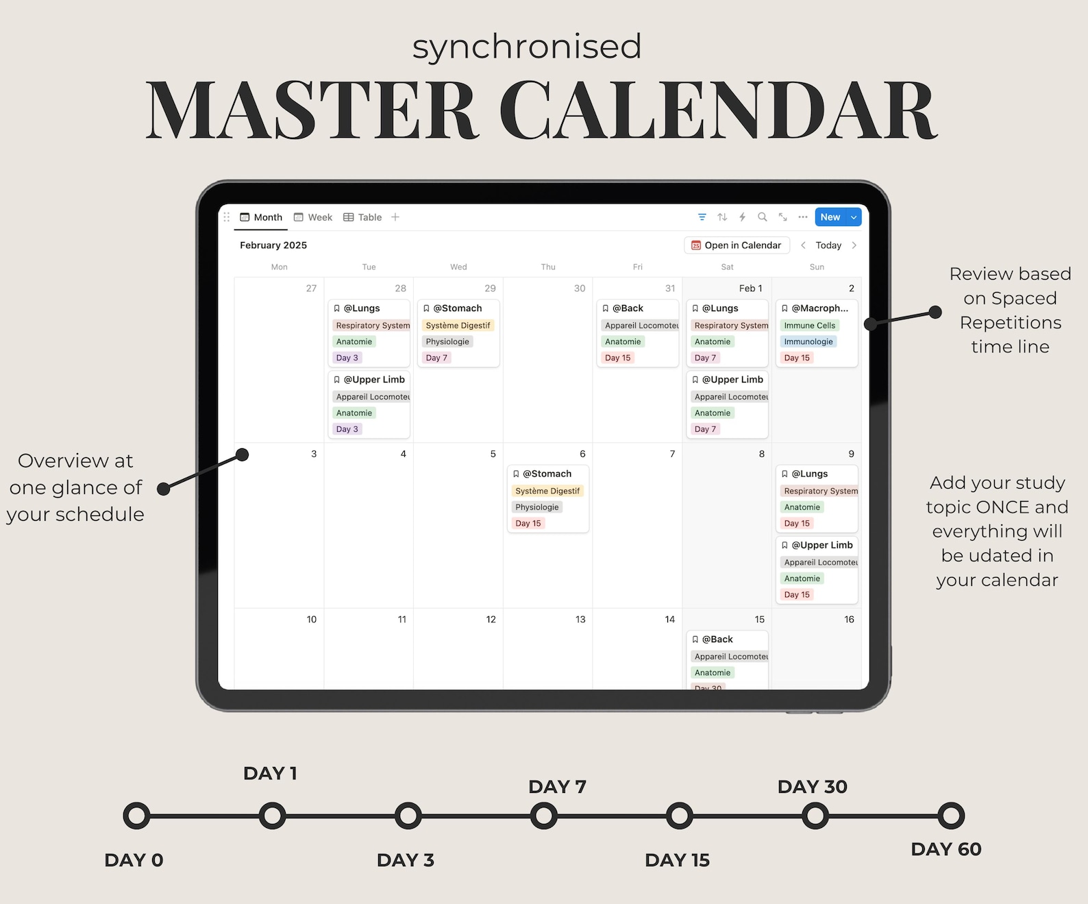 Spaced Repetition Notion Template Study Planner for Exams Student ...