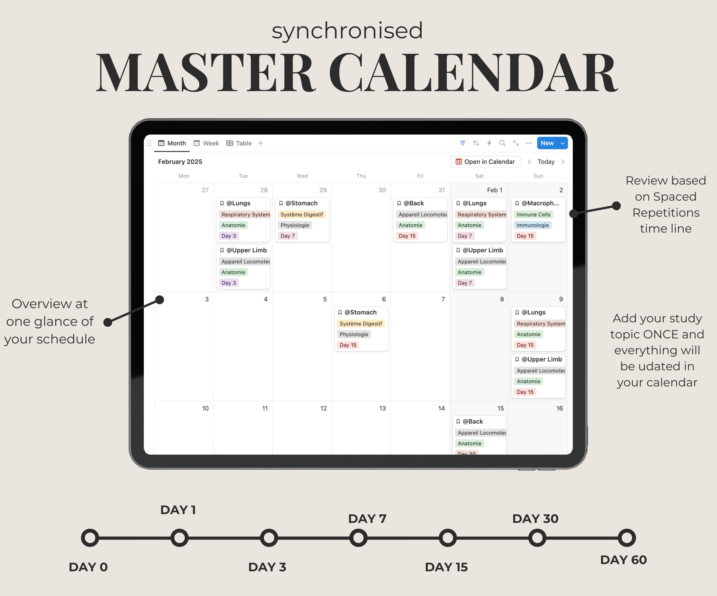 Spaced Repetition Notion Template Study Planner for Exams Student ...
