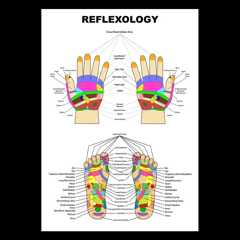 Reflexology Poster - Etsy