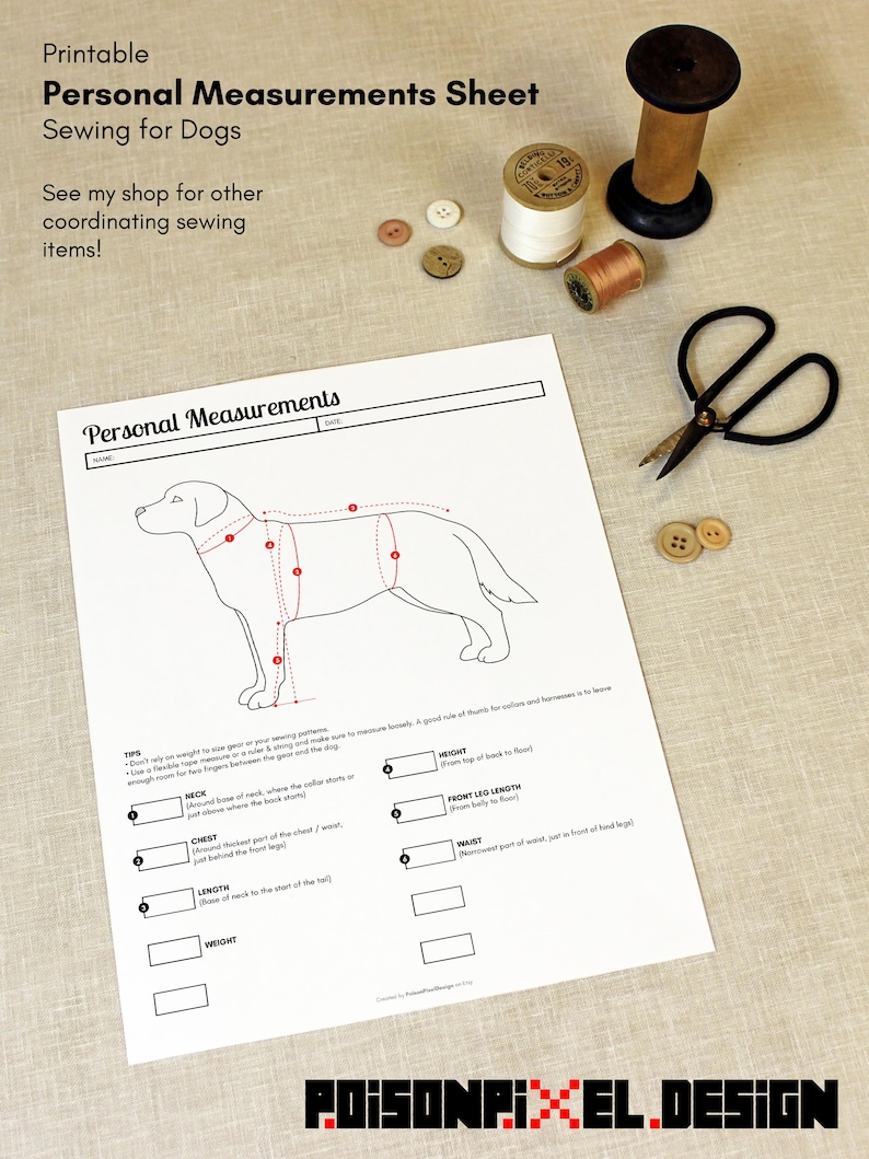 Printable Sewing Personal Measurements Sheet for Dogs | Body ...