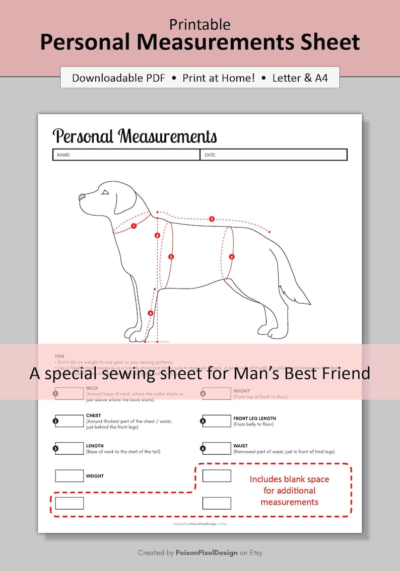 Printable Sewing Personal Measurements Sheet for Dogs | Body ...