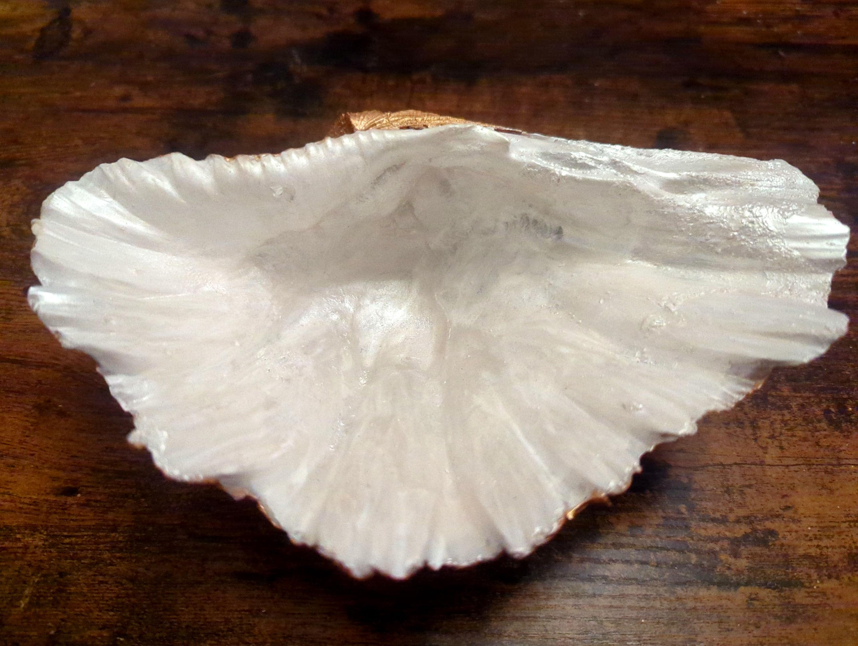 Hand Painted Gold and Pearl Half Clam Shell Iridescent Elegant Coastal ...