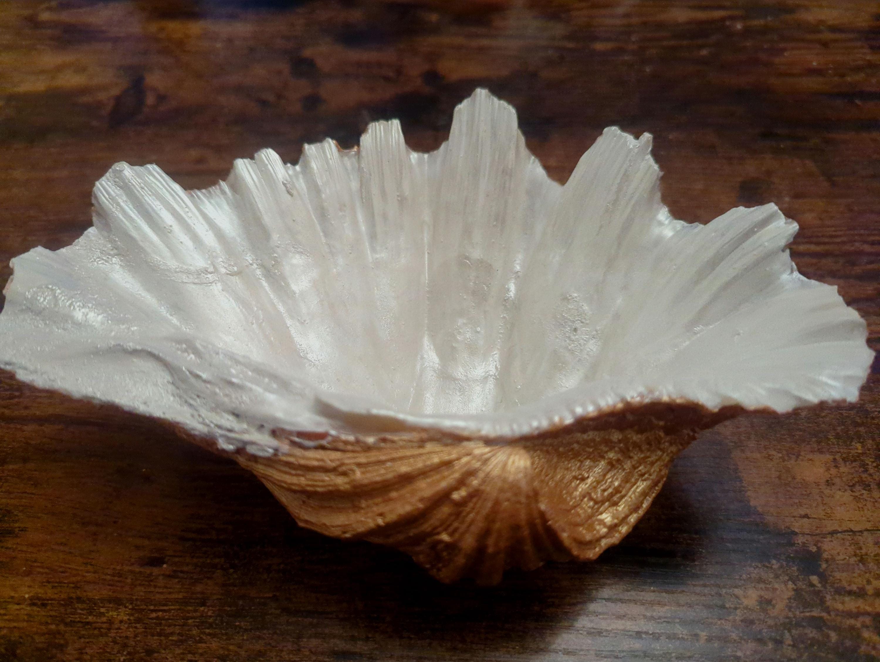 Hand Painted Gold and Pearl Half Clam Shell Iridescent Elegant Coastal ...