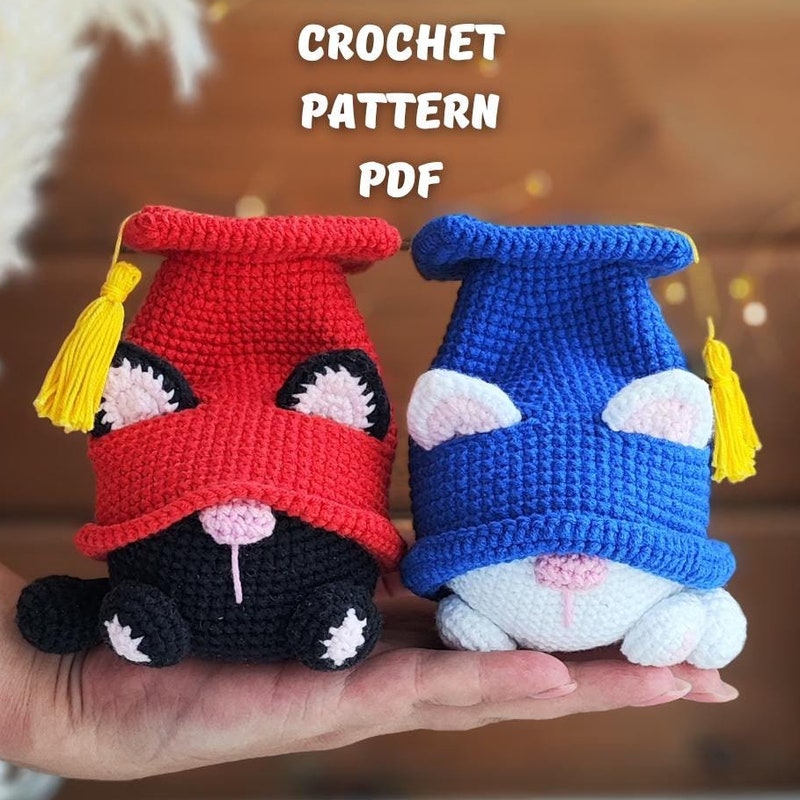 Graduation Gnomes - Etsy