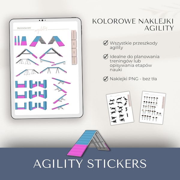 Agility Equipment - Etsy