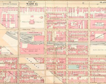 1887 Flowers and Plants German Colored Engraving Framable - Etsy