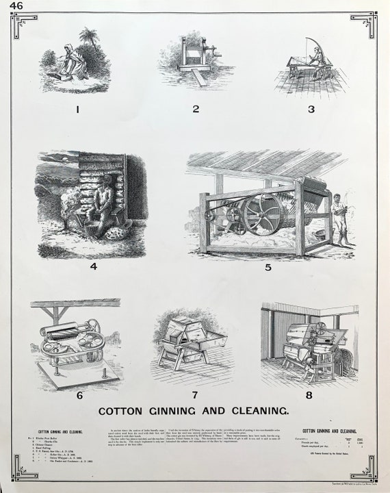 Cotton Plantation Drawing