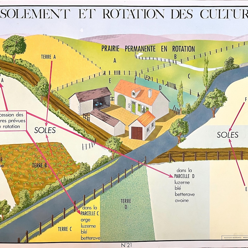 Vintage French School Chart - Etsy