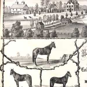 New Jersey Horse Farm Print, Original 1878 Atlas of New Jersey Shore ...