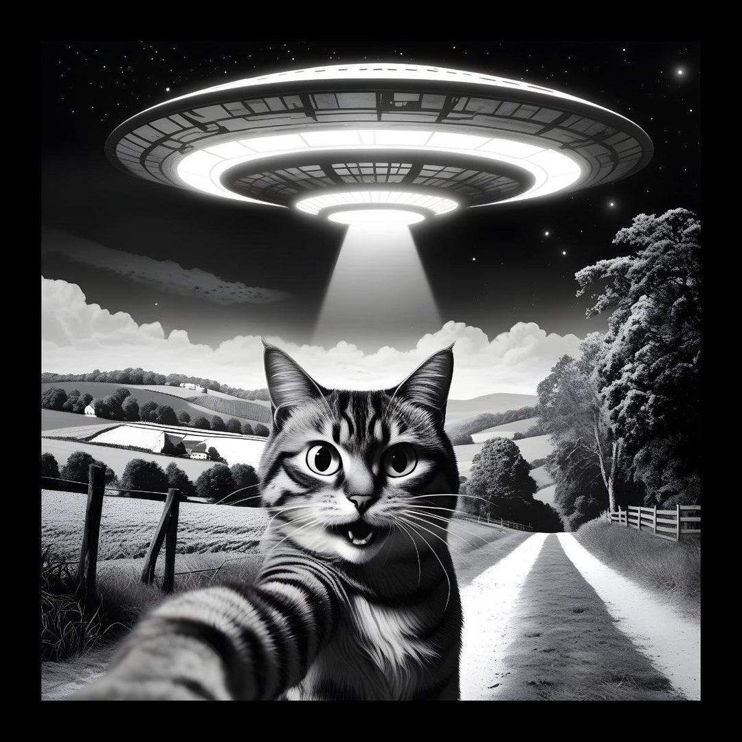 Funny Cat Selfie With UFO Design PNG Alien Spaceship Digital Art Funny ...