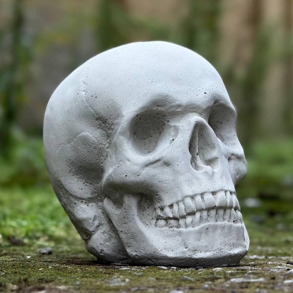 Concrete Skulls - Etsy
