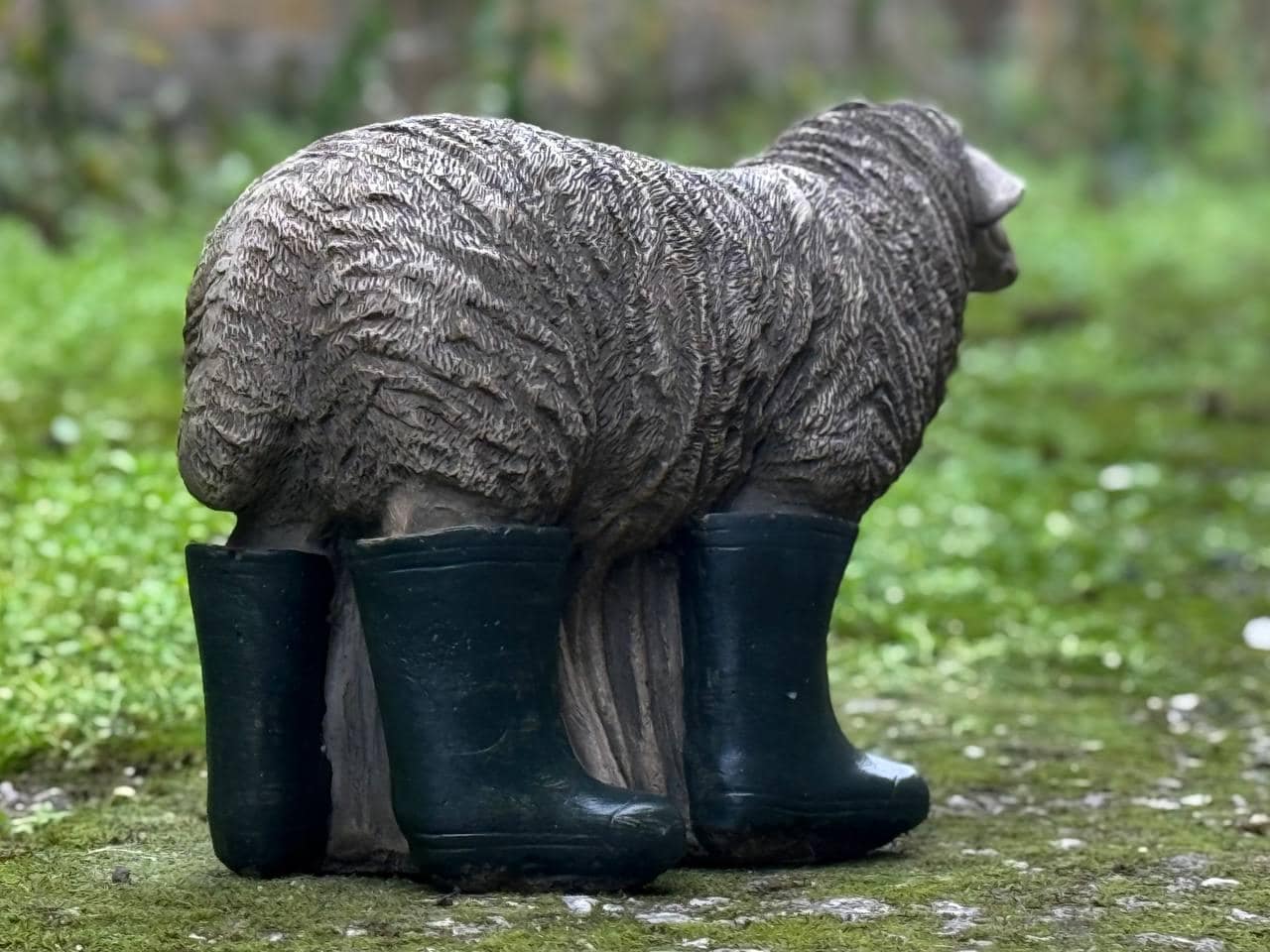 Humorous Quirky Sheep in Boots Statue Whimsical Farm Animal Decor ...