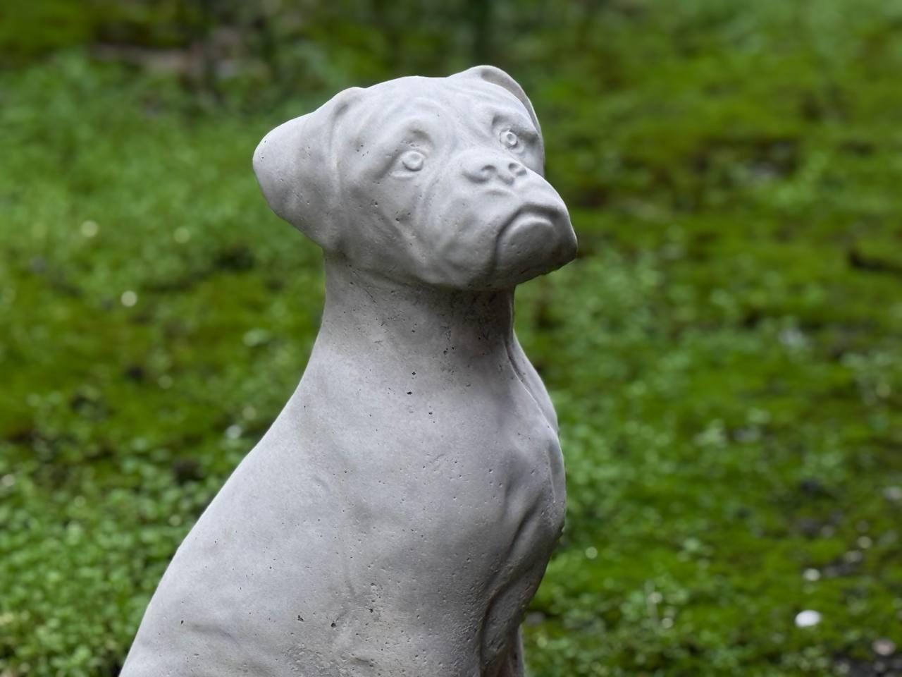 Concrete Boxer Dog Statue Cement Boxer Dog Figurine Dog Figurine Garden ...