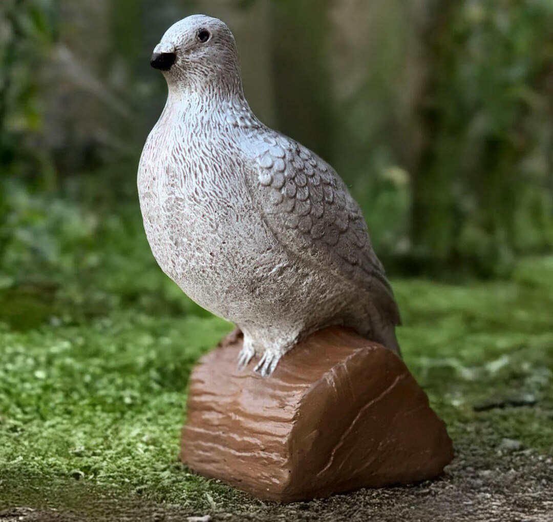Outdoor Dove Sculpture Stone Bird Figurine Concrete Pigeon Decoration ...