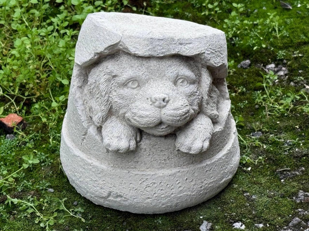 Stone Spaniel in Pot Figurine Concrete Funny Pet Sculpture Cement ...
