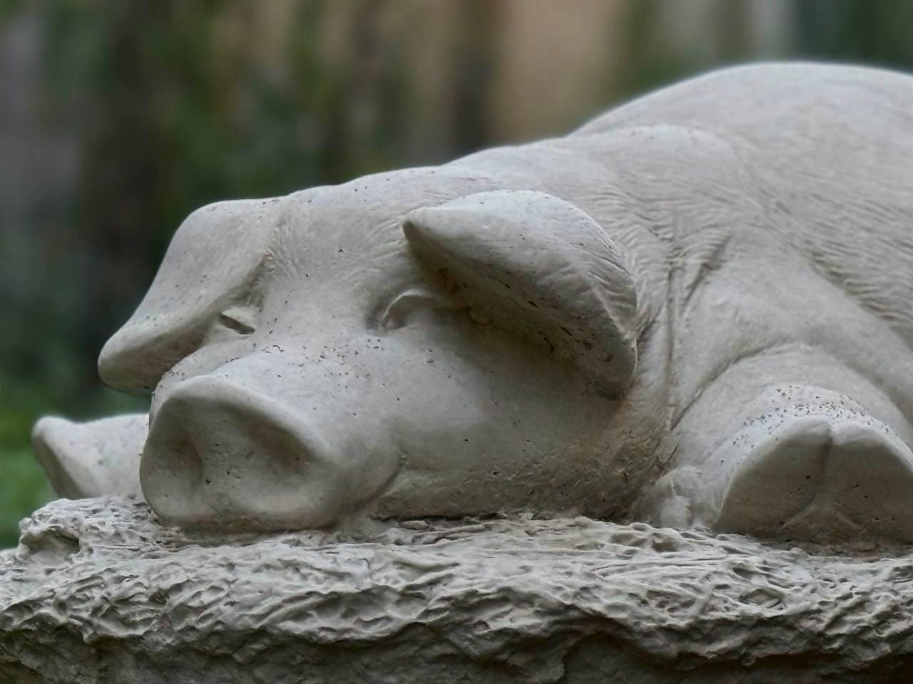 Concrete Sleeping Pig Sculpture Stone Farm Animal Sculpture Farmhouse ...