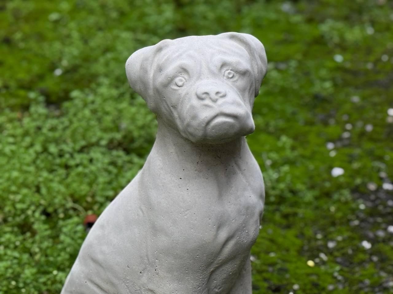Concrete Boxer Dog Statue Cement Boxer Dog Figurine Dog Figurine Garden ...