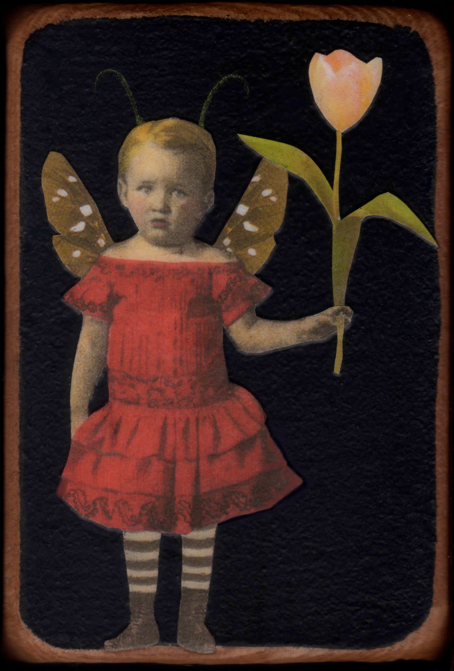 Pippa Handmade Collage Edition Hand Painted Background Printed With ...