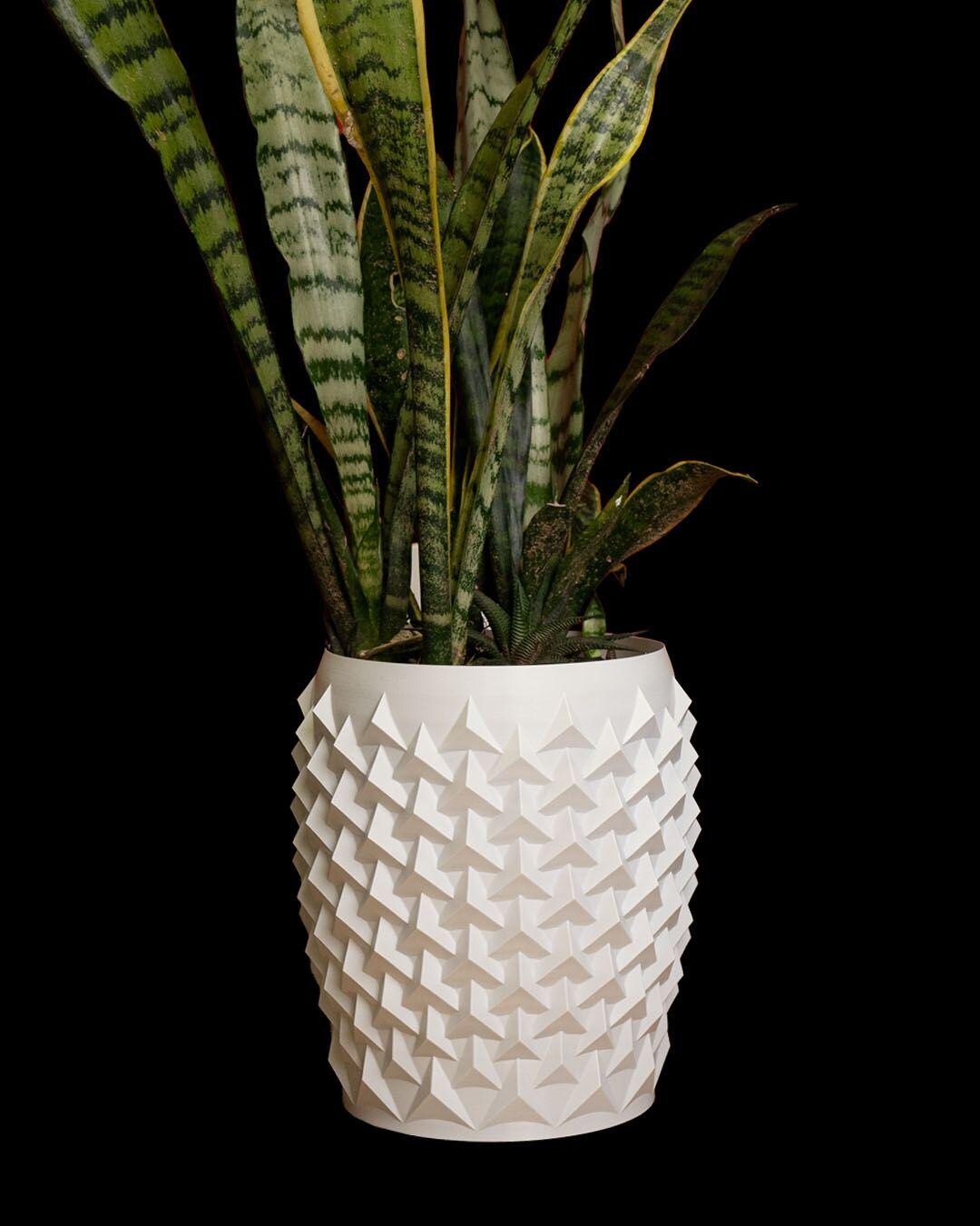 Pointy Flowerpot - Elegant Home Decor | Unique Planter, Modern Design ...
