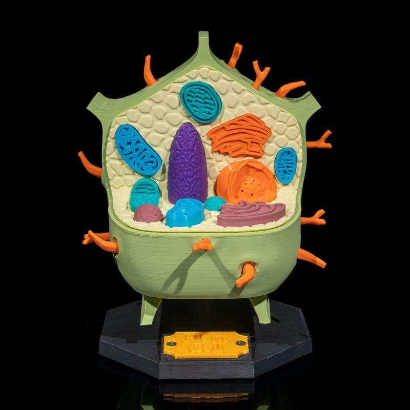 Biology Decor - Etsy