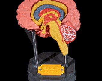 Ragdoll Kit Card | Fun Ragdoll Cat Toy, Tabletop Game Accessory, Pet ...