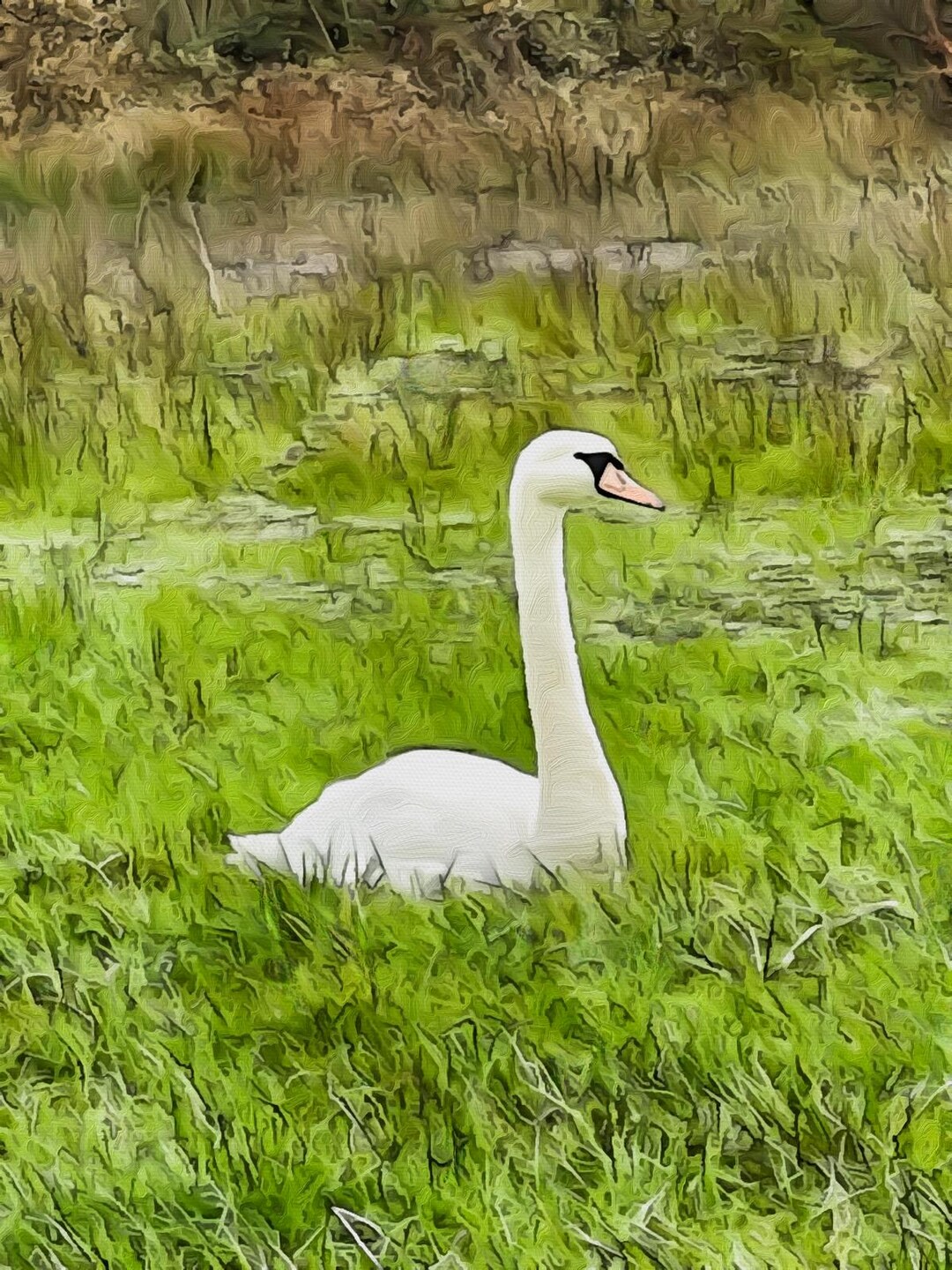 Swan Print Digital Download, Printable Bird Illustration, Animals Print ...