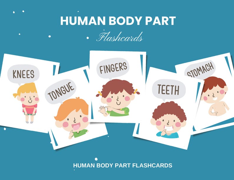 Printable Body Parts Learning Cards, Educational Anatomy PDF for ...