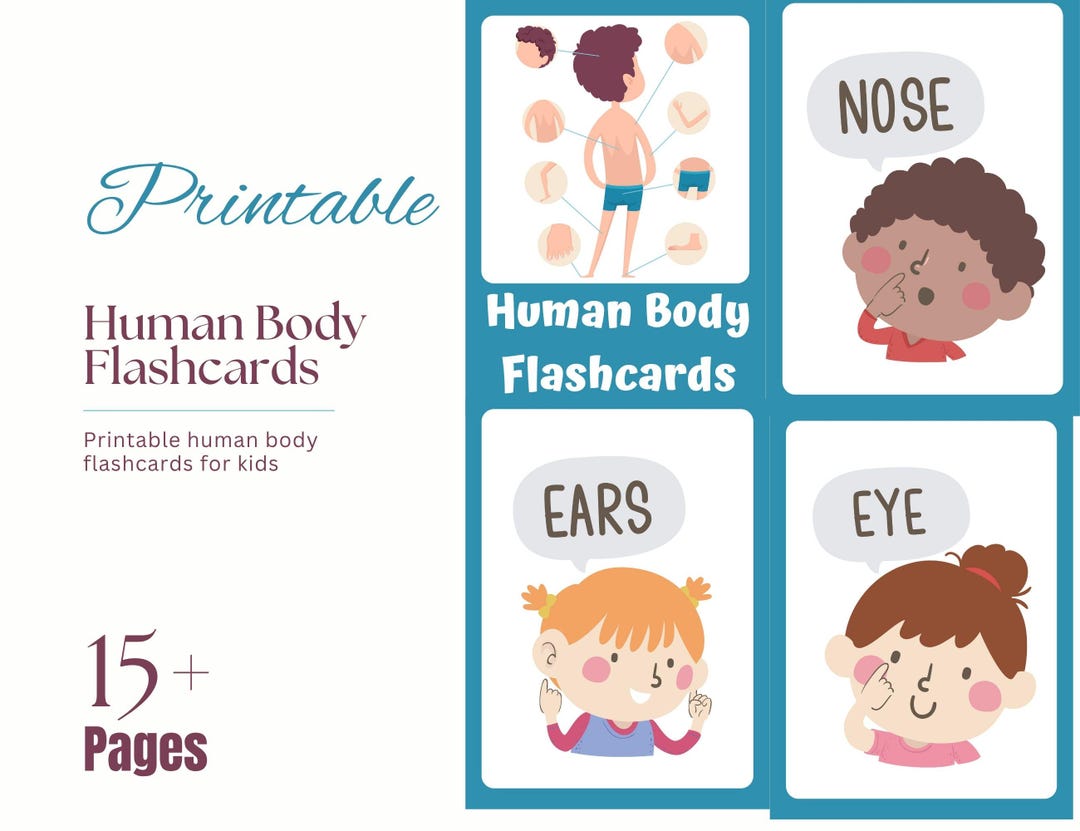 Printable Body Parts Learning Cards, Educational Anatomy PDF for ...