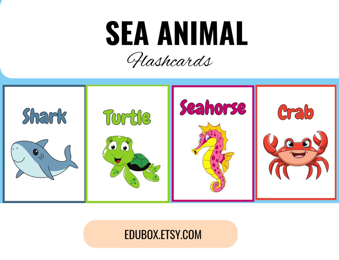 Printable Kids Sea Animals Flashcards | Ocean Animal Flash Cards ...
