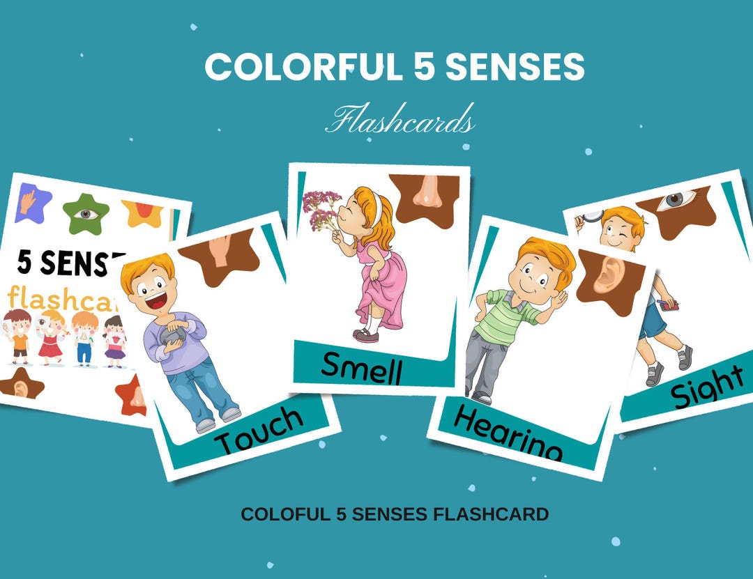 Colorful 5 Senses Flashcards, Printable Learning Cards, Learning the 5 ...