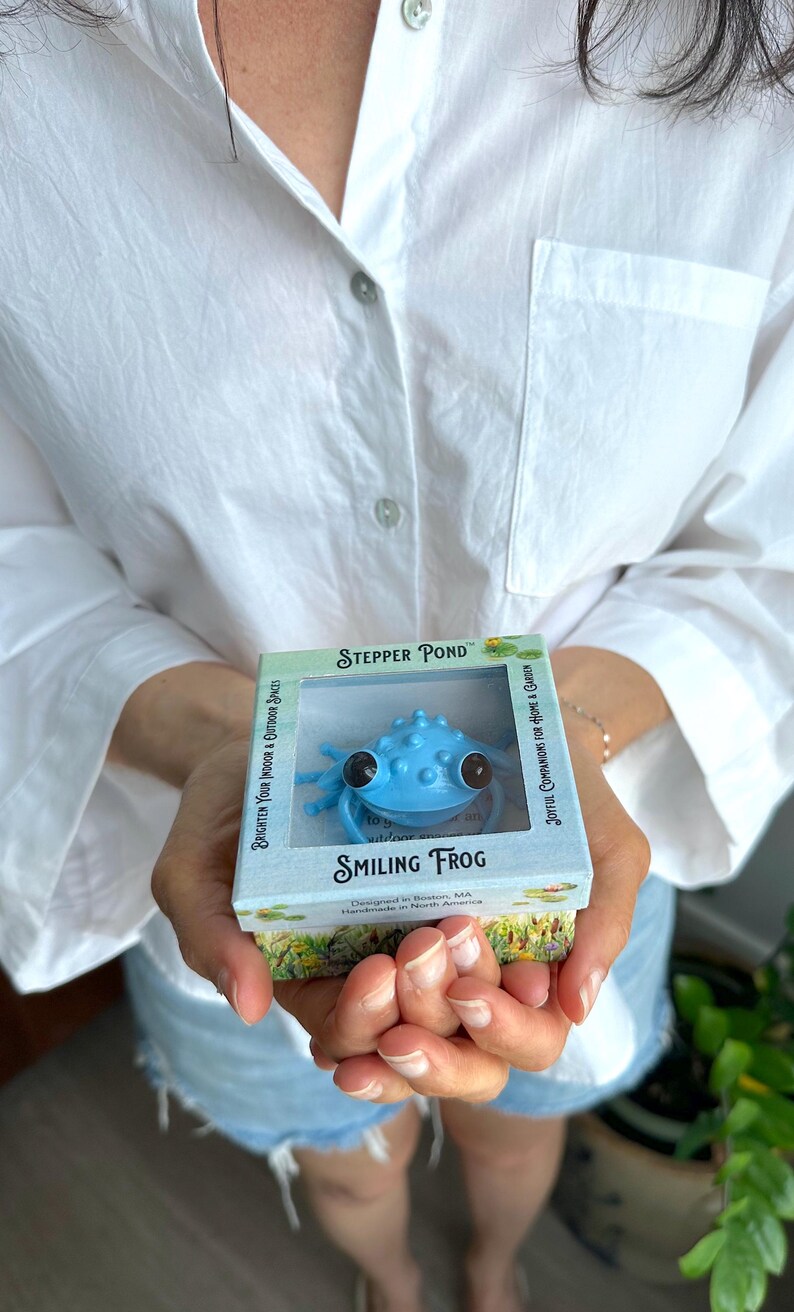 Cute Sky Blue Smiling Frog Indoor Outdoor Metal Rain Tree Frog Art Home ...