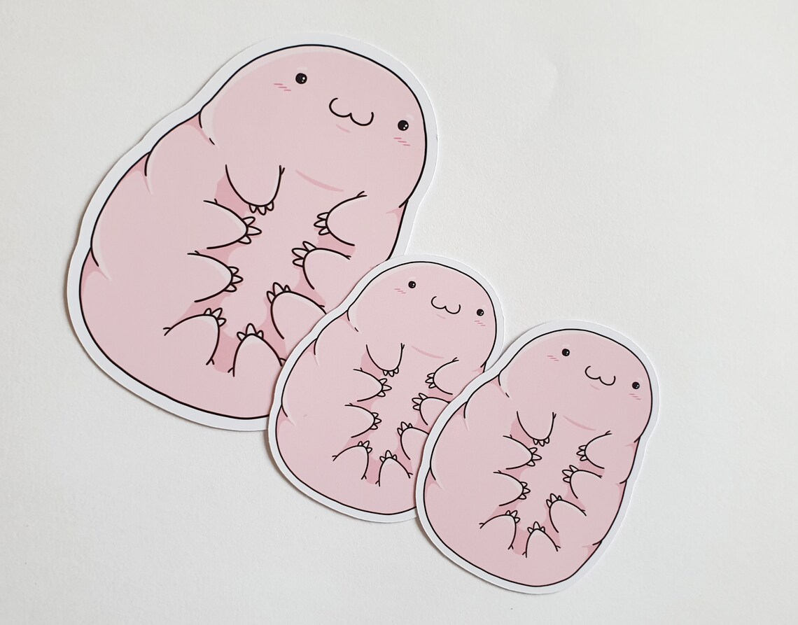 Tardigrade Sticker Set Kawaii Stickers Cute Planner or - Etsy