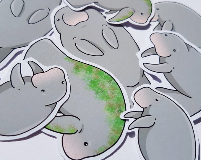 Manatee Stickers Cute Sticker Set Planner Stickers Kawaii - Etsy UK