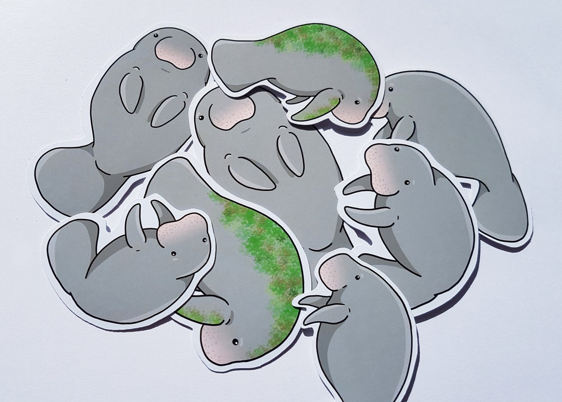 Manatee stickers cute sticker set planner stickers kawaii | Etsy