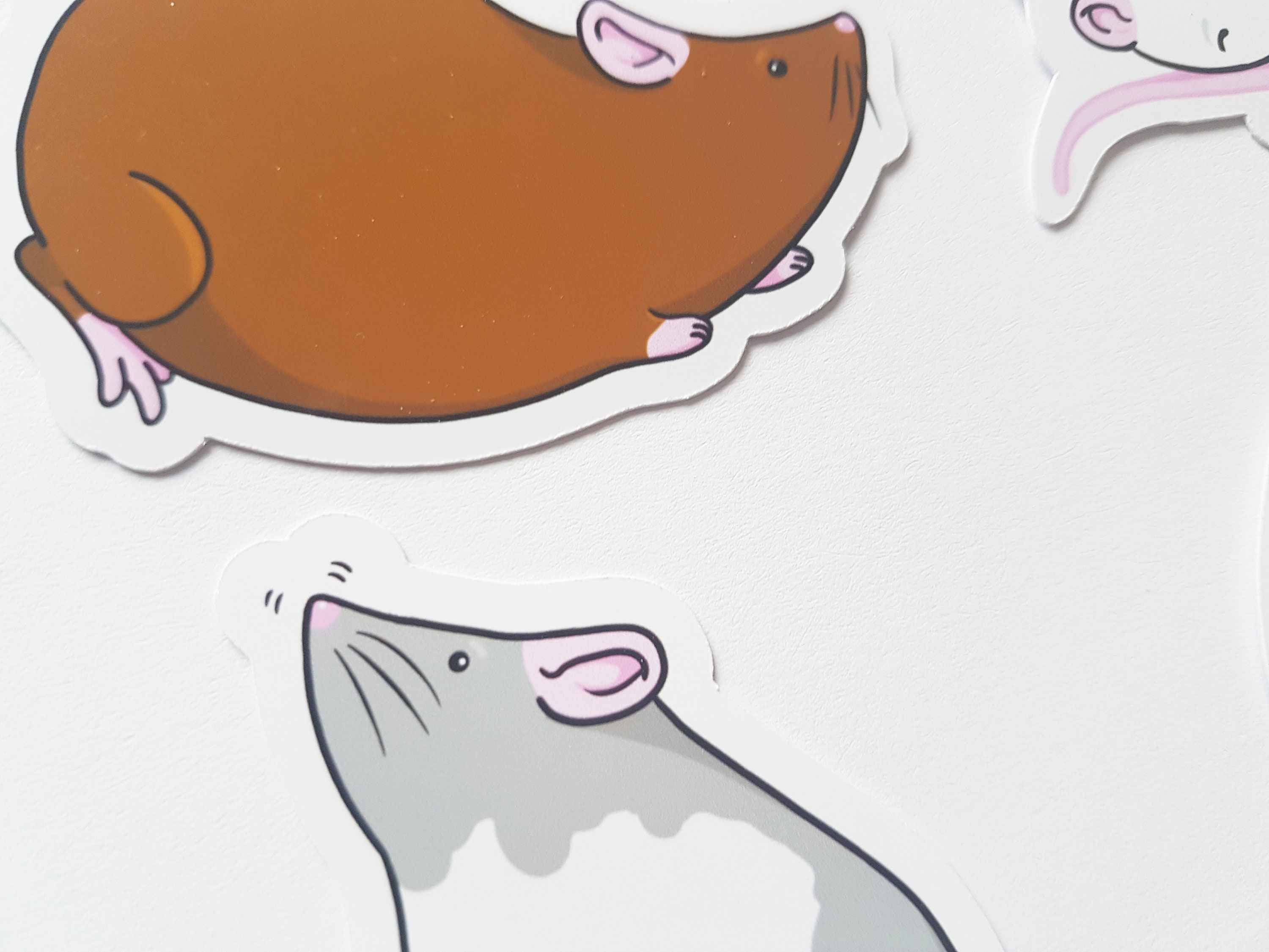 Rat Stickers Cute Pet Rat Sticker Set Kawaii Planner - Etsy New Zealand