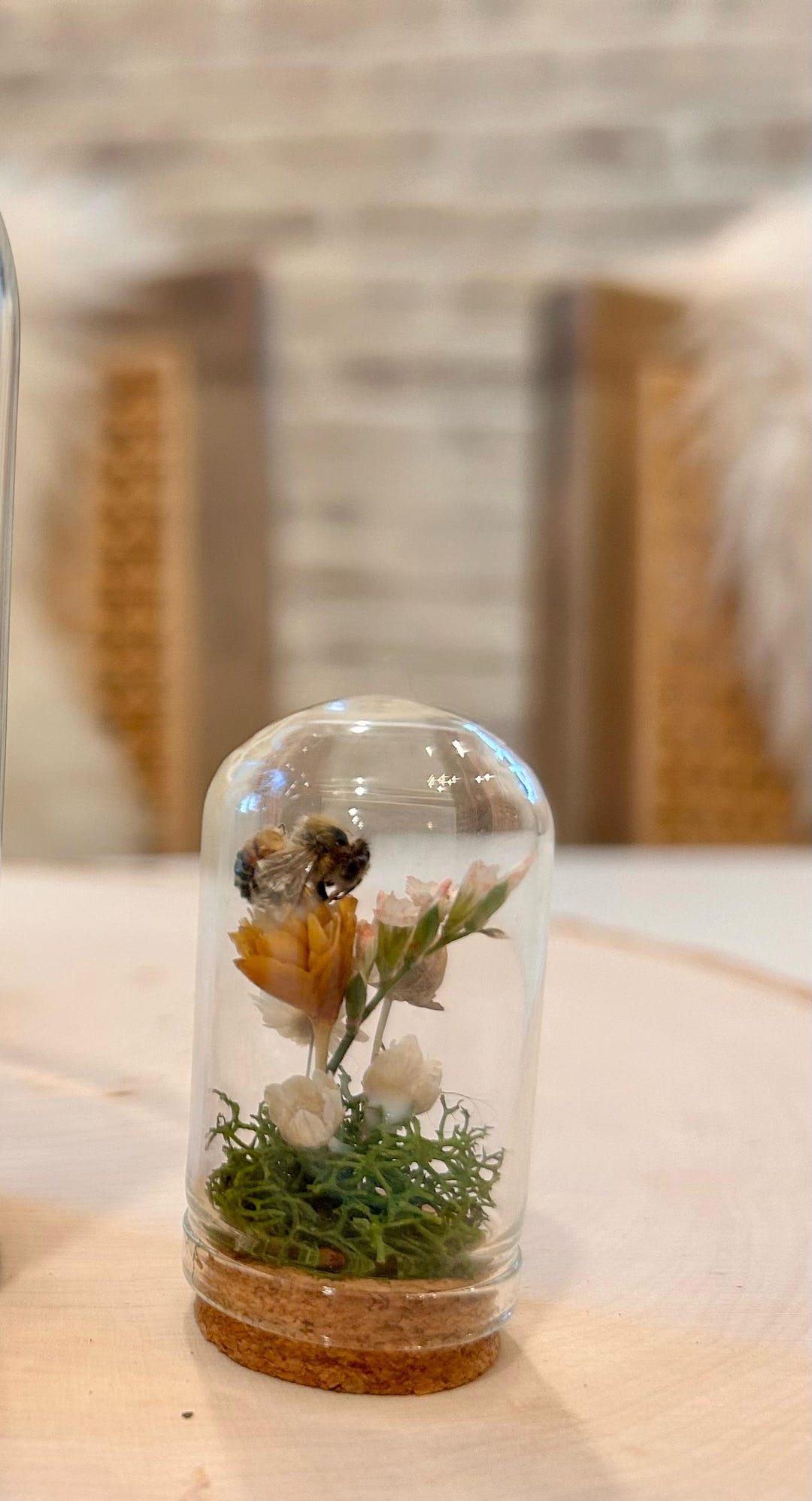 Real Honey Bee Taxidermy in Mini Glass Dome Jar, Miniature Bee Display ...