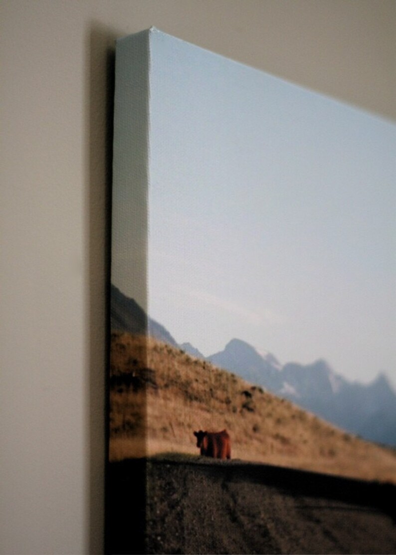 Canvas, Cabin Art, Rustic Ranch Art, Cow Photo on Canvas Montana ...