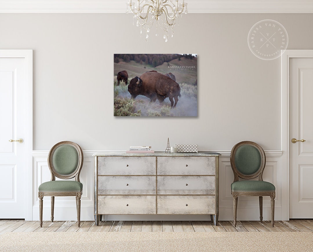 Canvas, Modern Buffalo, Bison Wall Art, Wilderness Wall Art ...